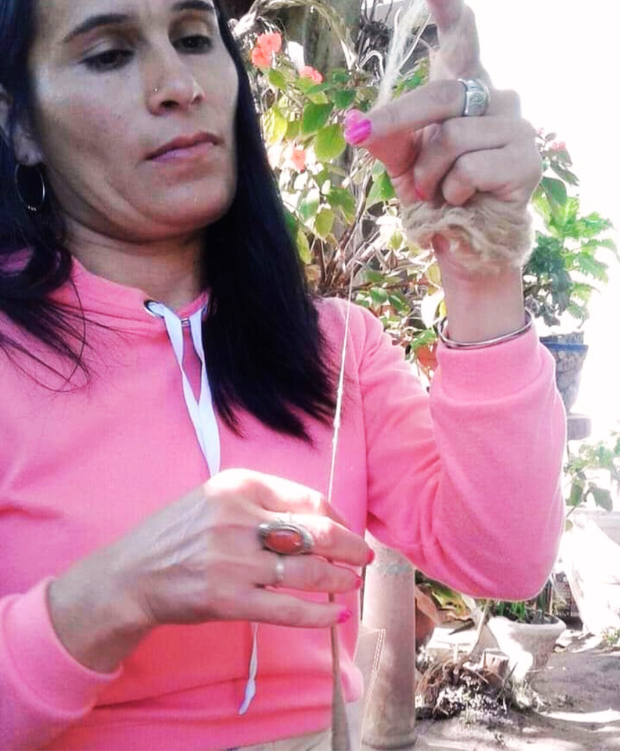 Inicio: Seda silvestre nativa